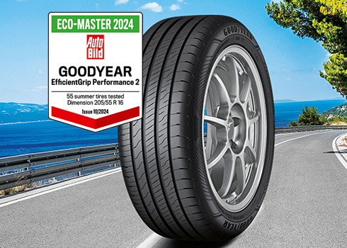 Eagle F1 Asymmetric 6