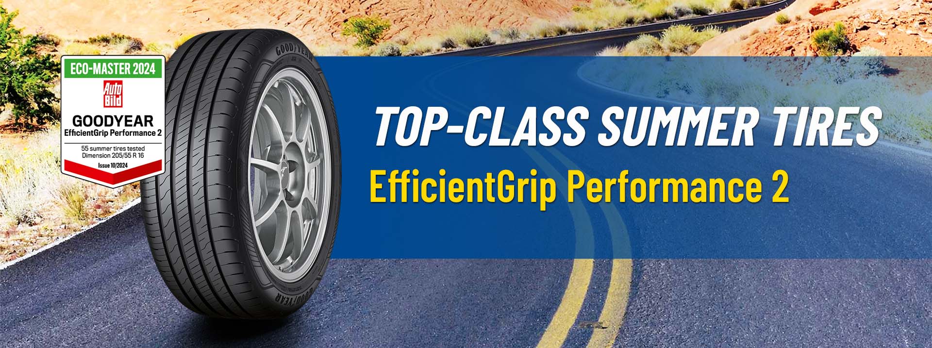 Goodyear EfficientGrip Performance 2