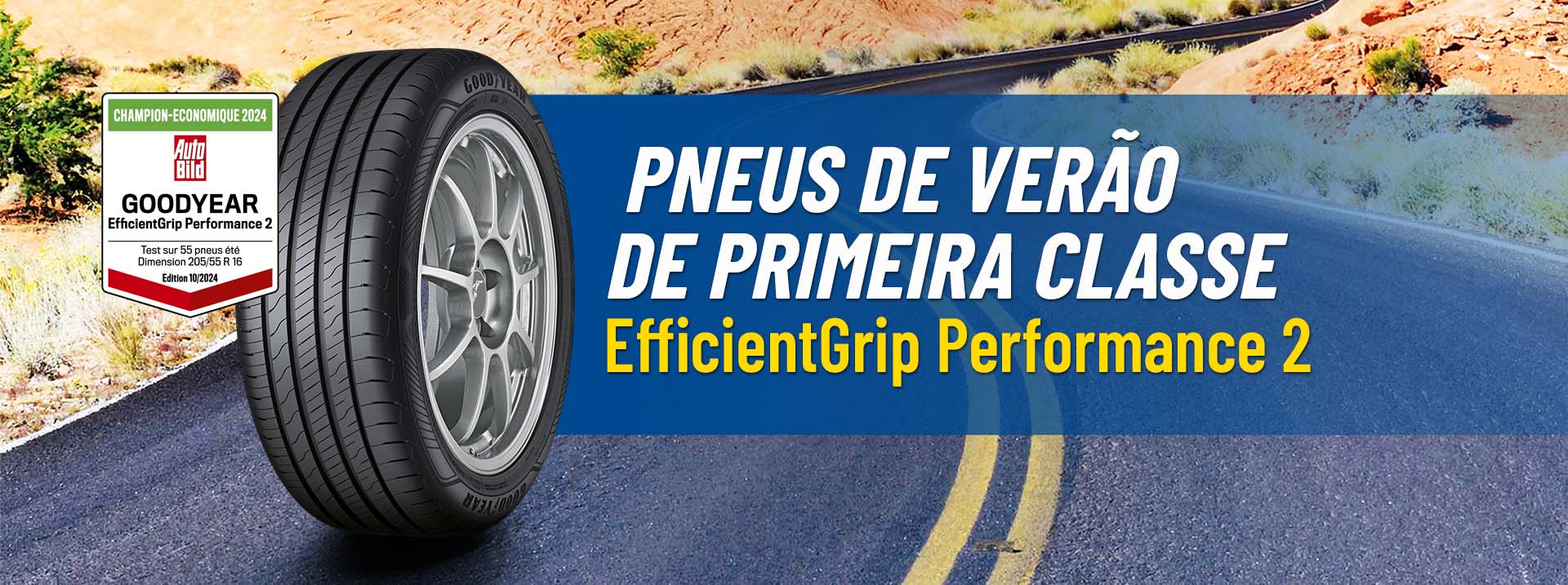 EfficientGrip Performance 2 da Goodyear